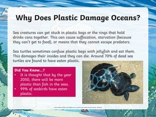 Plastic-Pollution-PowerPoint.pdf