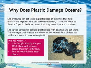 Plastic-Pollution-PowerPoint (1).pptx