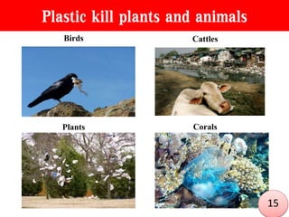 Plastic waste management | PPTX