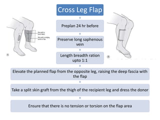 Plastic and reconstructive surgery presentation.pptx