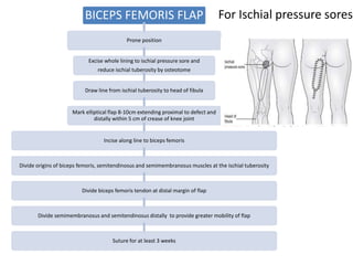 Plastic and reconstructive surgery presentation.pptx