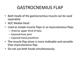 Plastic and reconstructive surgery presentation.pptx