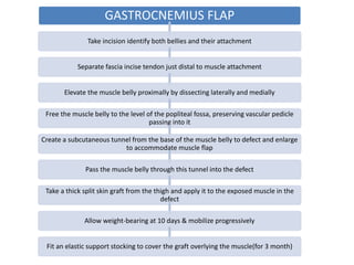 Plastic and reconstructive surgery presentation.pptx