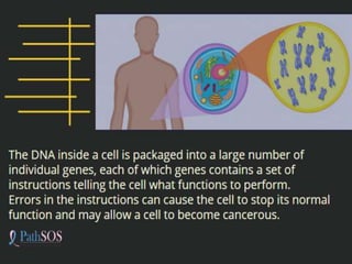 Do plastic bottles or food containers cause cancer? | PPT