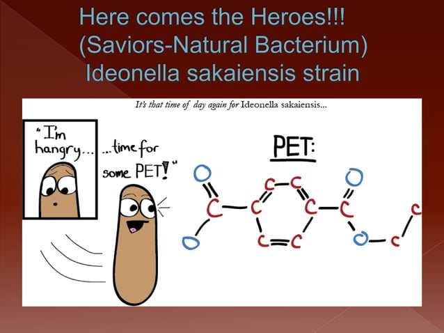 Plastic degrading enzyme pet | PPT