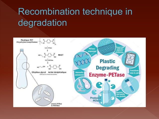 Plastic degrading enzyme pet | PPT