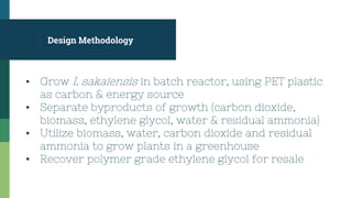 Bioprocessing Engineering Design Presentation | PPTX