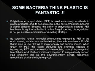 Plastic eating bacteria | PPTX