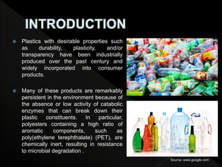 Plastic eating bacteria | PPTX