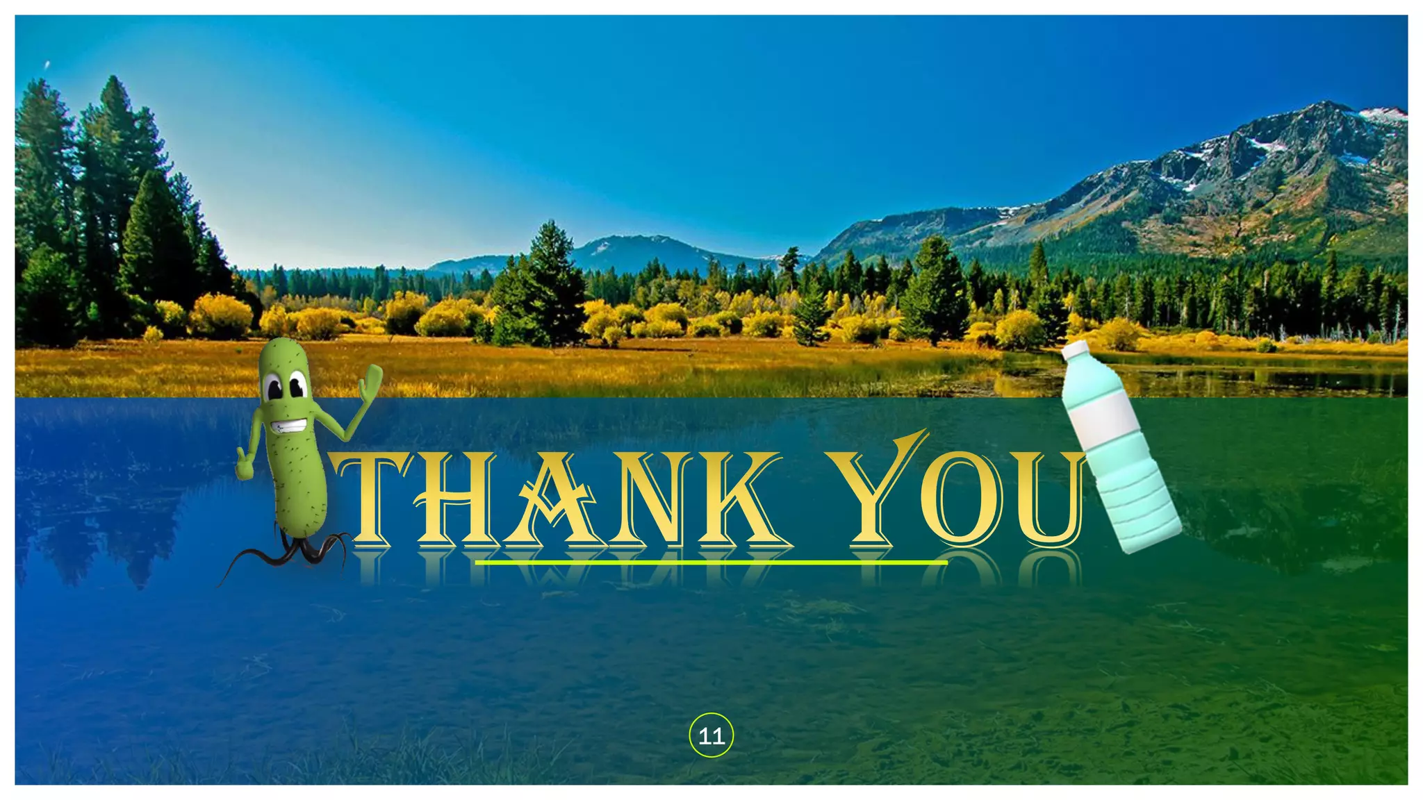 Plastic eating bacteria | PDF