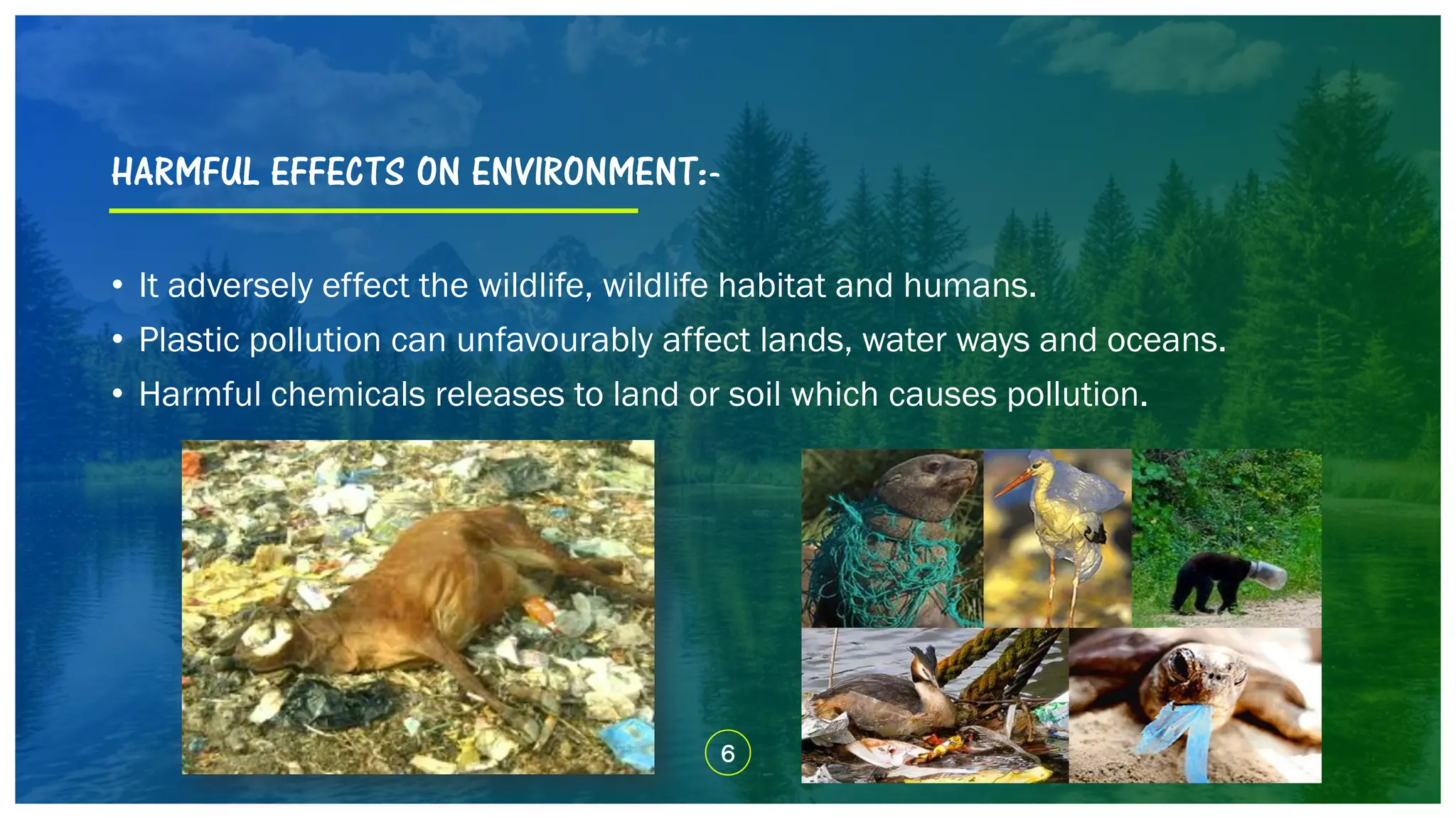 Plastic eating bacteria | PDF