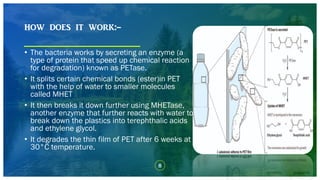 Plastic eating bacteria | PDF