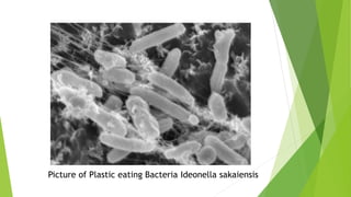Plastic eating bacteria | PPTX