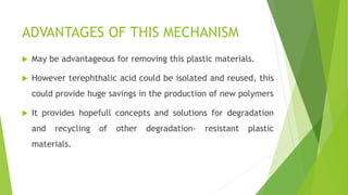 Plastic eating bacteria | PPTX