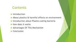 Plastic eating bacteria | PPTX