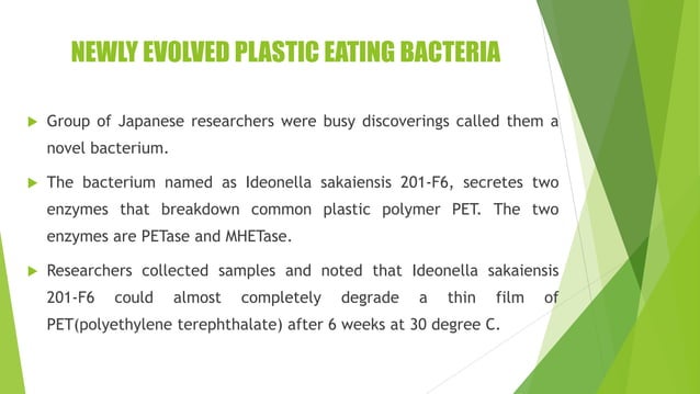 Plastic eating bacteria | PPTX | Chemistry | Science