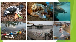 Plastic eating bacteria | PPTX