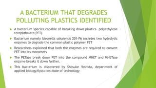 Plastic eating bacteria | PPTX