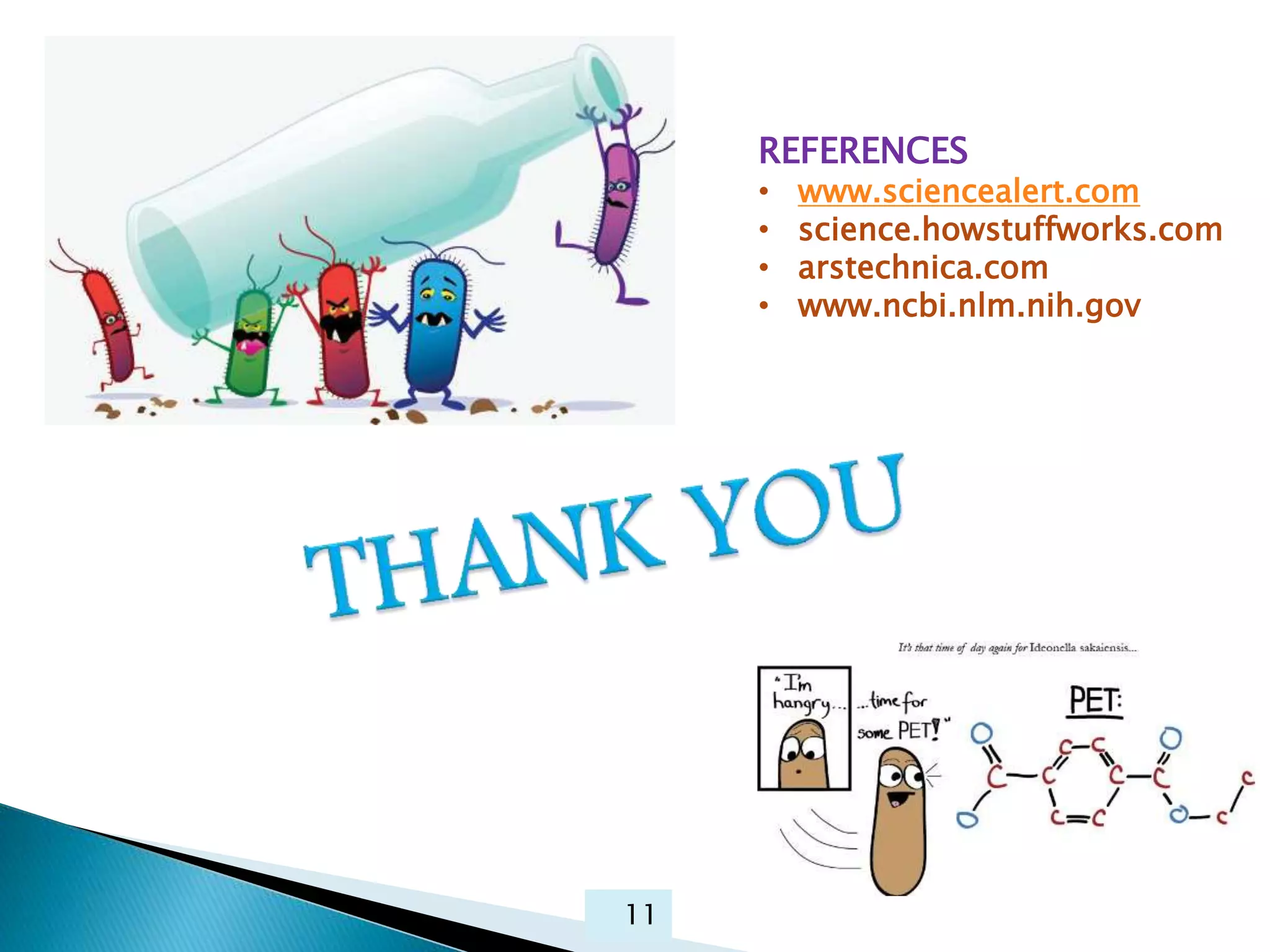 Plastic eating bacterium | PPTX | Chemistry | Science