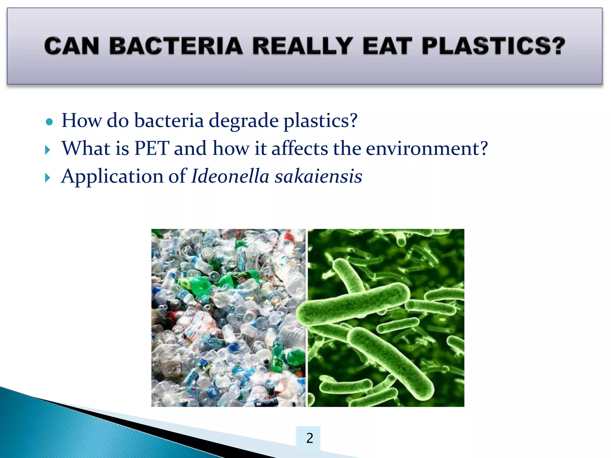 Plastic eating bacterium | PPTX | Chemistry | Science