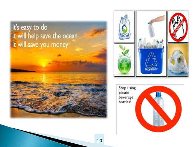 Plastic eating bacterium | PPTX | Chemistry | Science