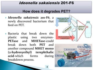 Plastic eating bacterium | PPTX | Chemistry | Science