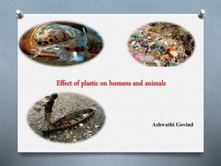 Plastic effect on humans and animal | PPTX