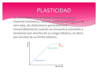 Plasticidad | PPTX