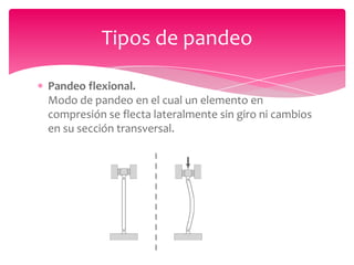 Plasticidad | PPTX
