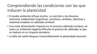 Plasticidad | PPTX