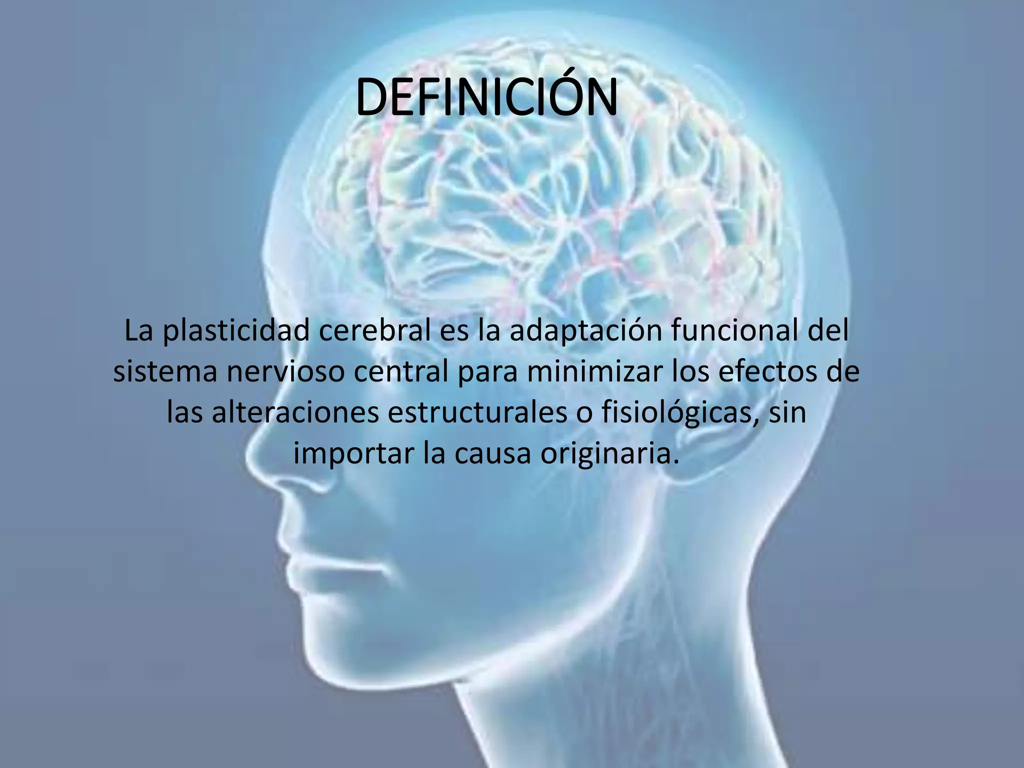 Plasticidad cerebral-diapo | PPT