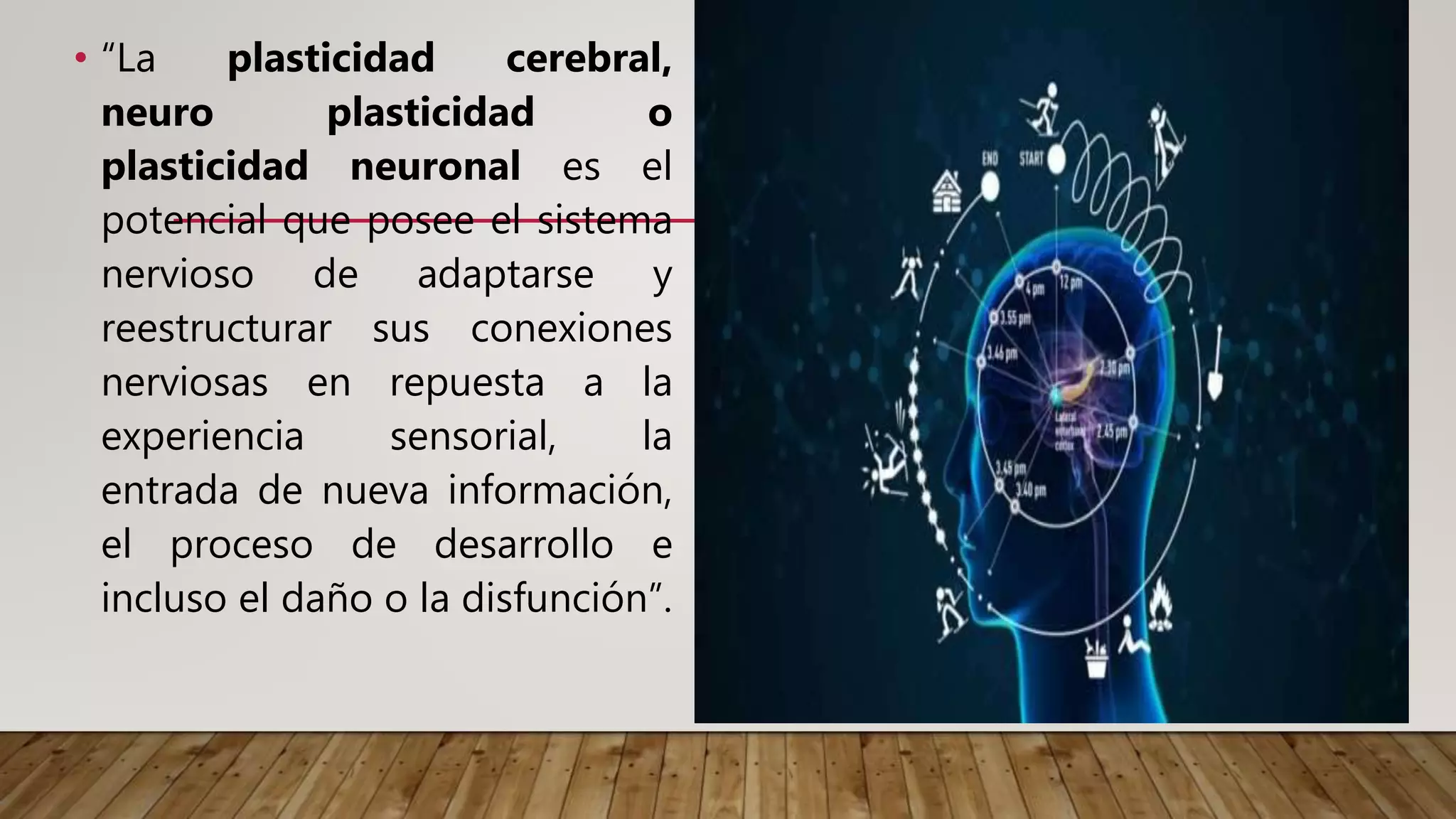 Plasticidad cerebral i | PPT