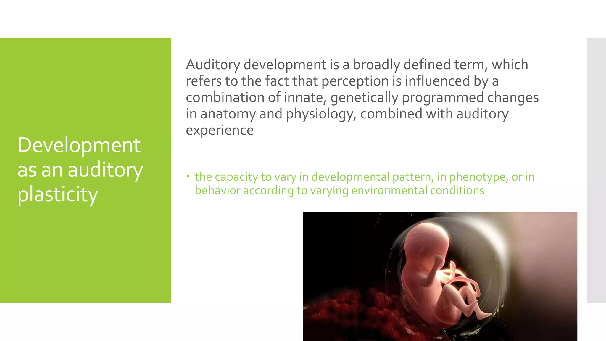 Auditory system Plasticity | PPTX