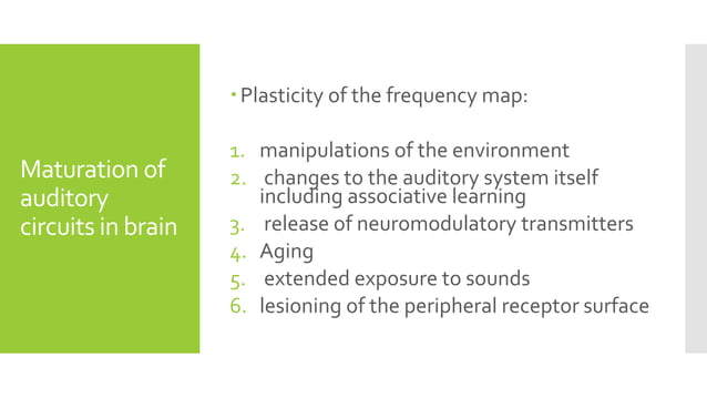Auditory system Plasticity | PPTX