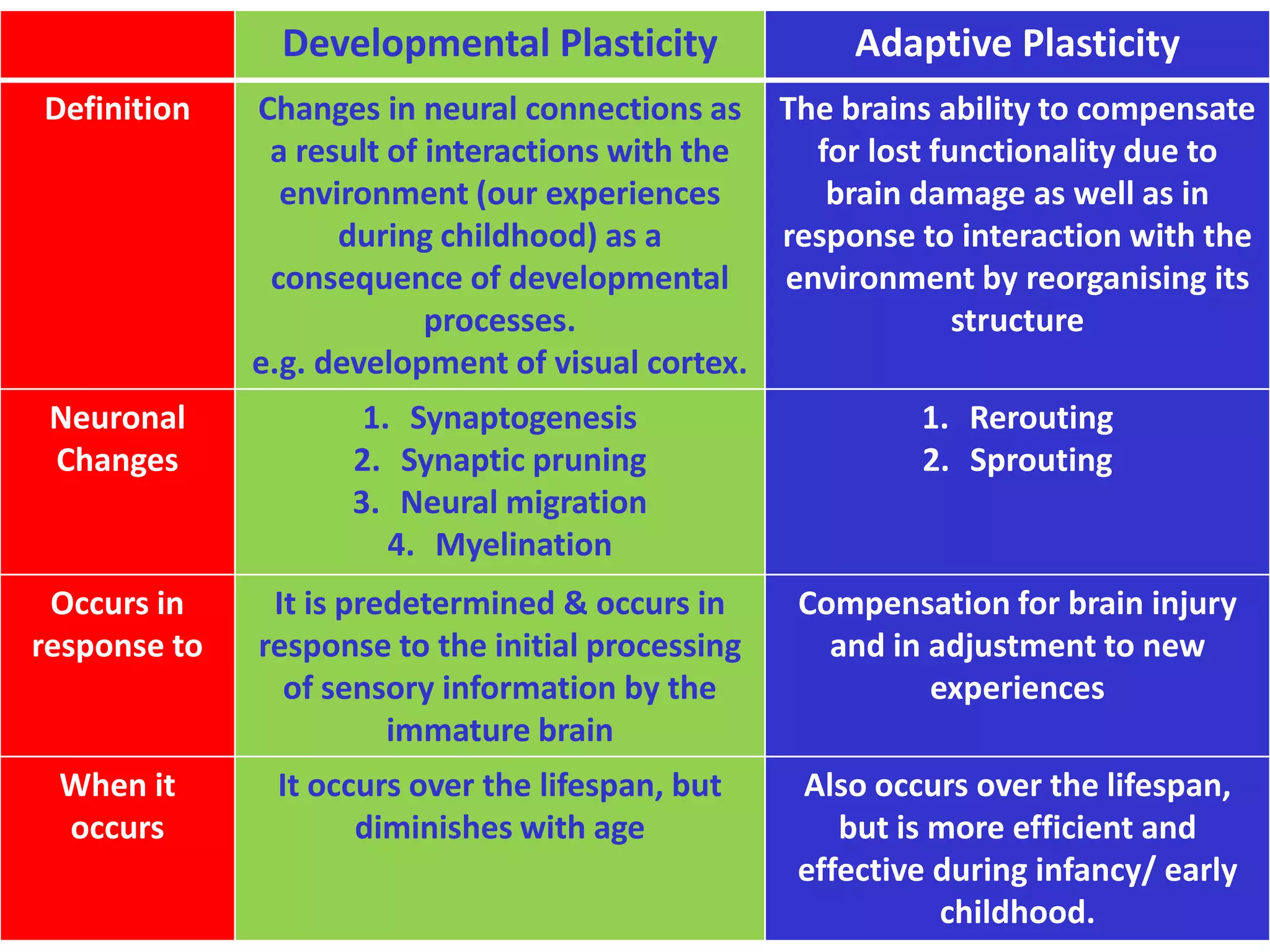 Plasticity of the brain - VCE U4 Psychology | PPTX