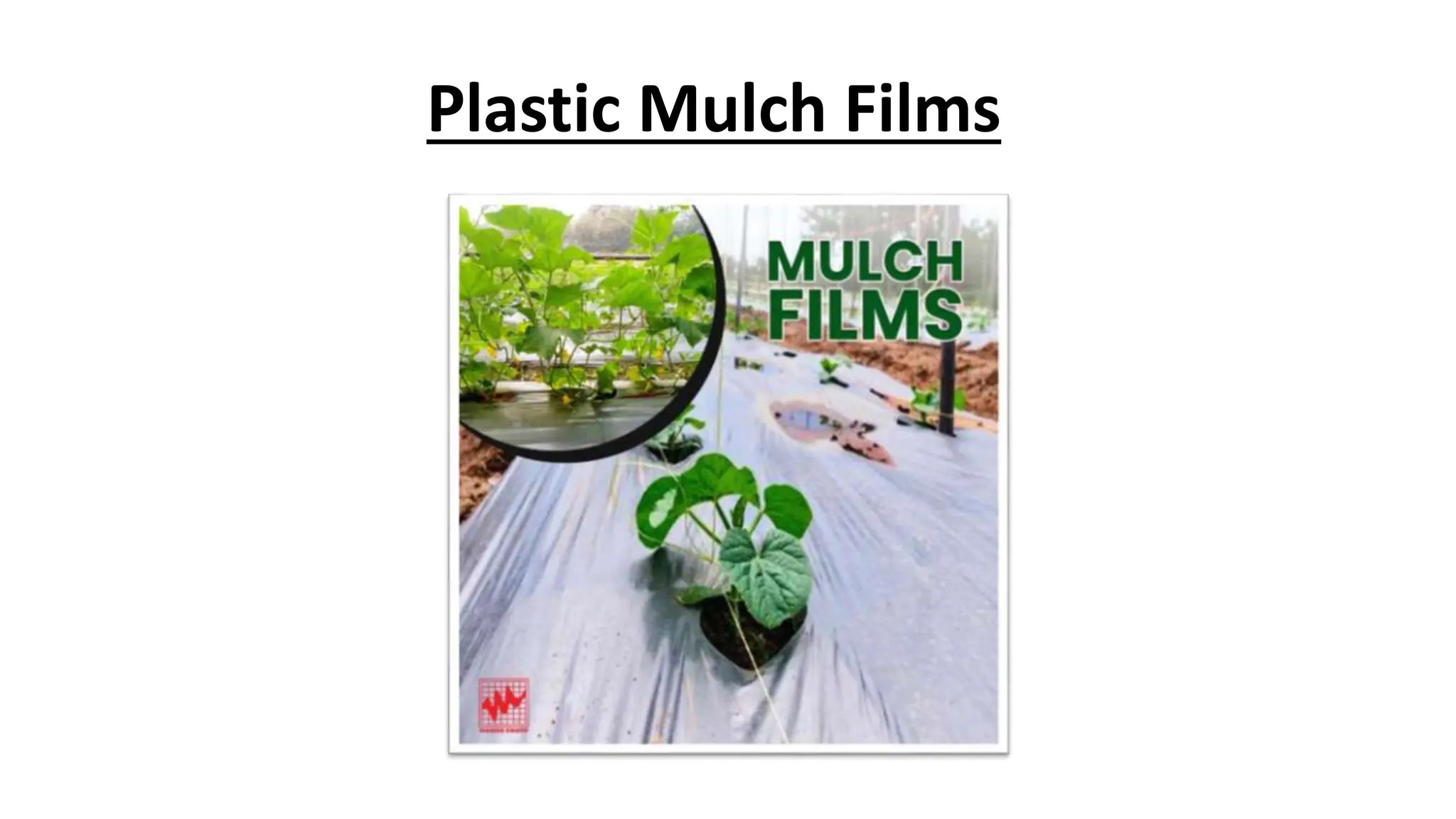 Plastic Mulch Films | Mulching Sheet | Agriculture Mulch Film | PPTX