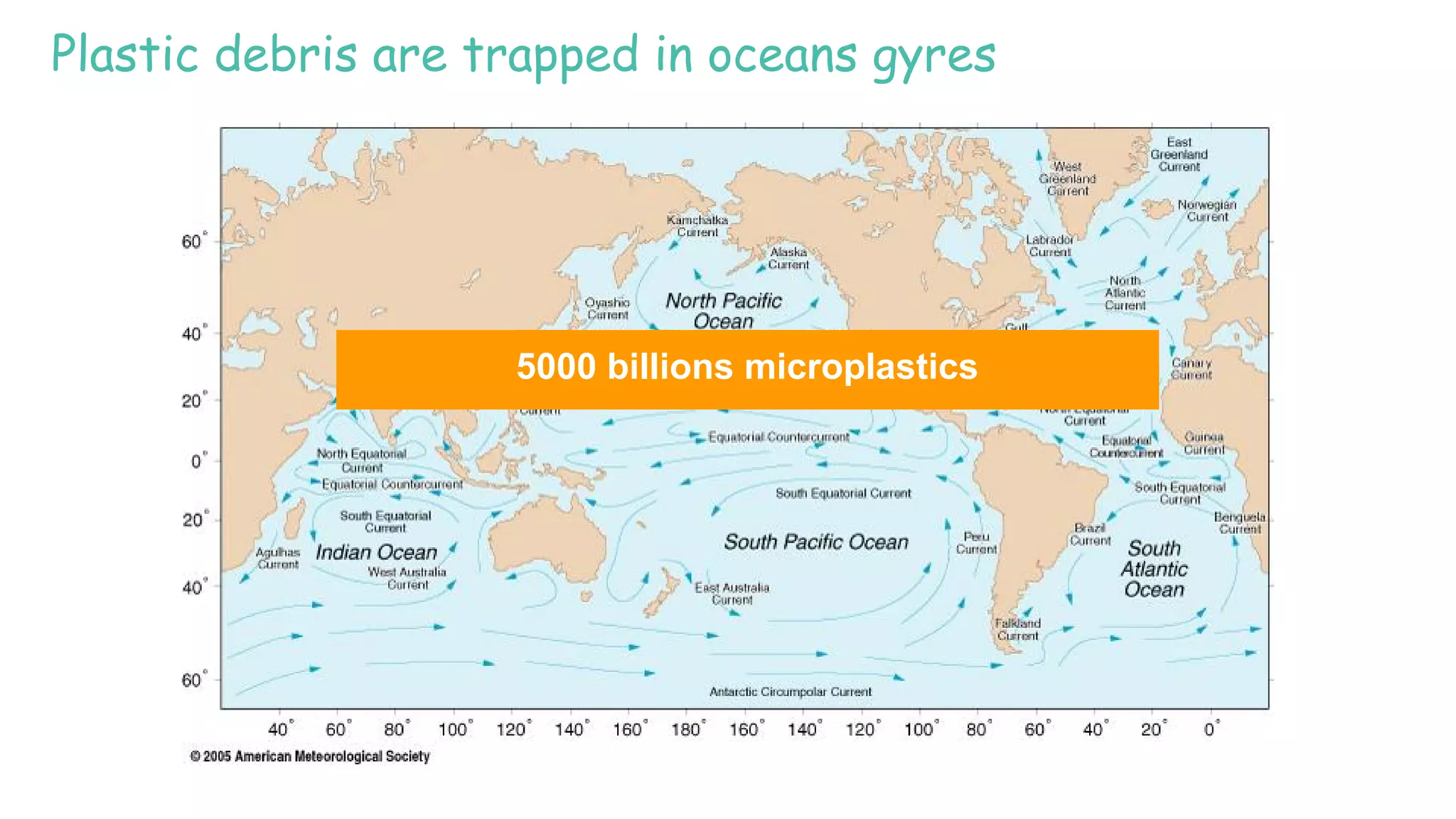 Plastic Oceans - What can we do? | PDF