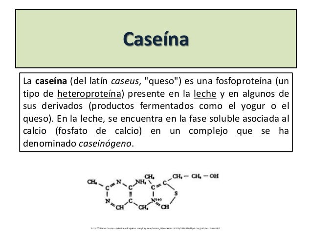 Plasticos i ecci (1)