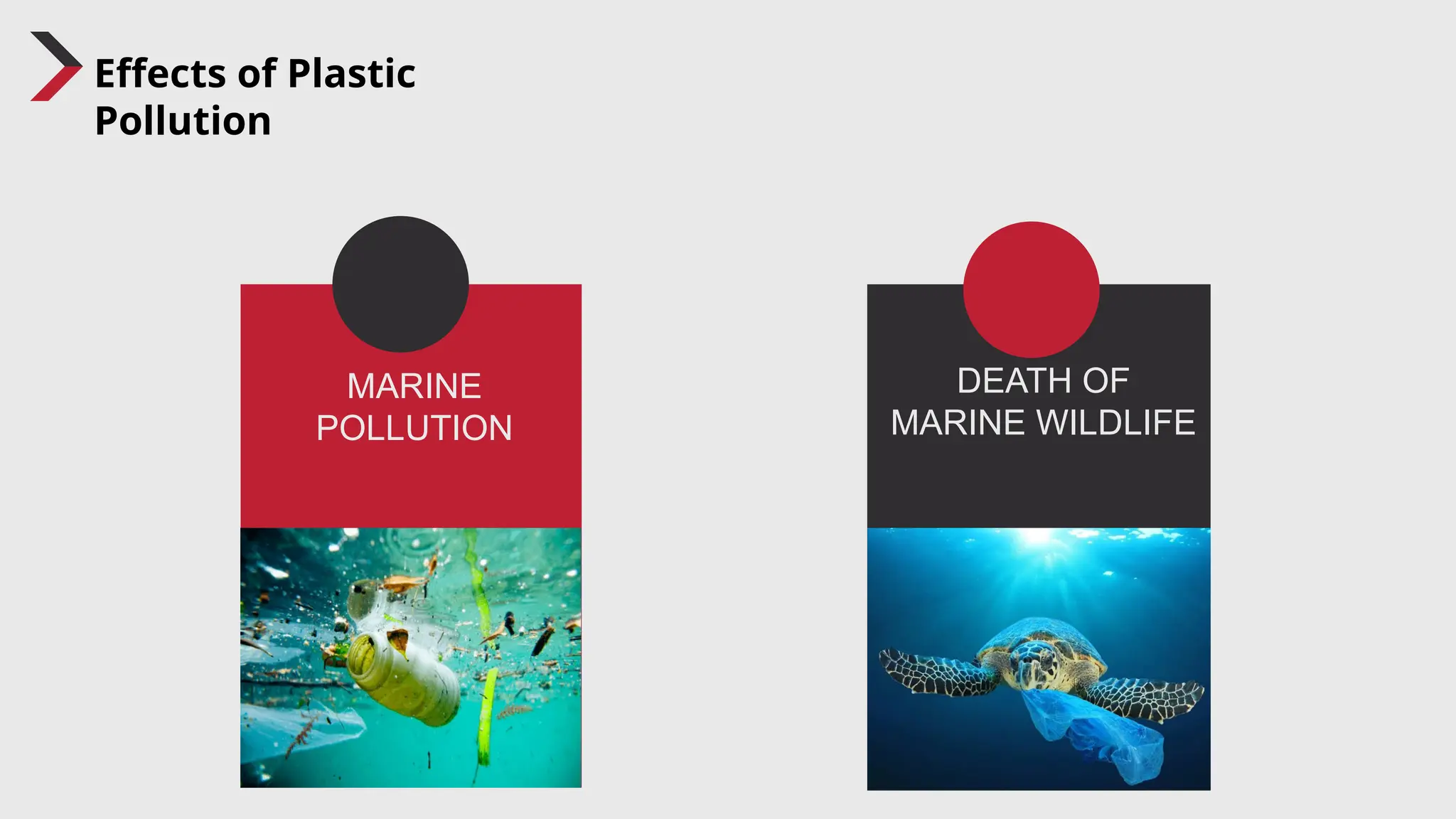 plasticpolluti-wpsoffice-190825170117.pptx