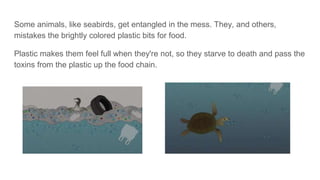 Plastic pollution | PPT