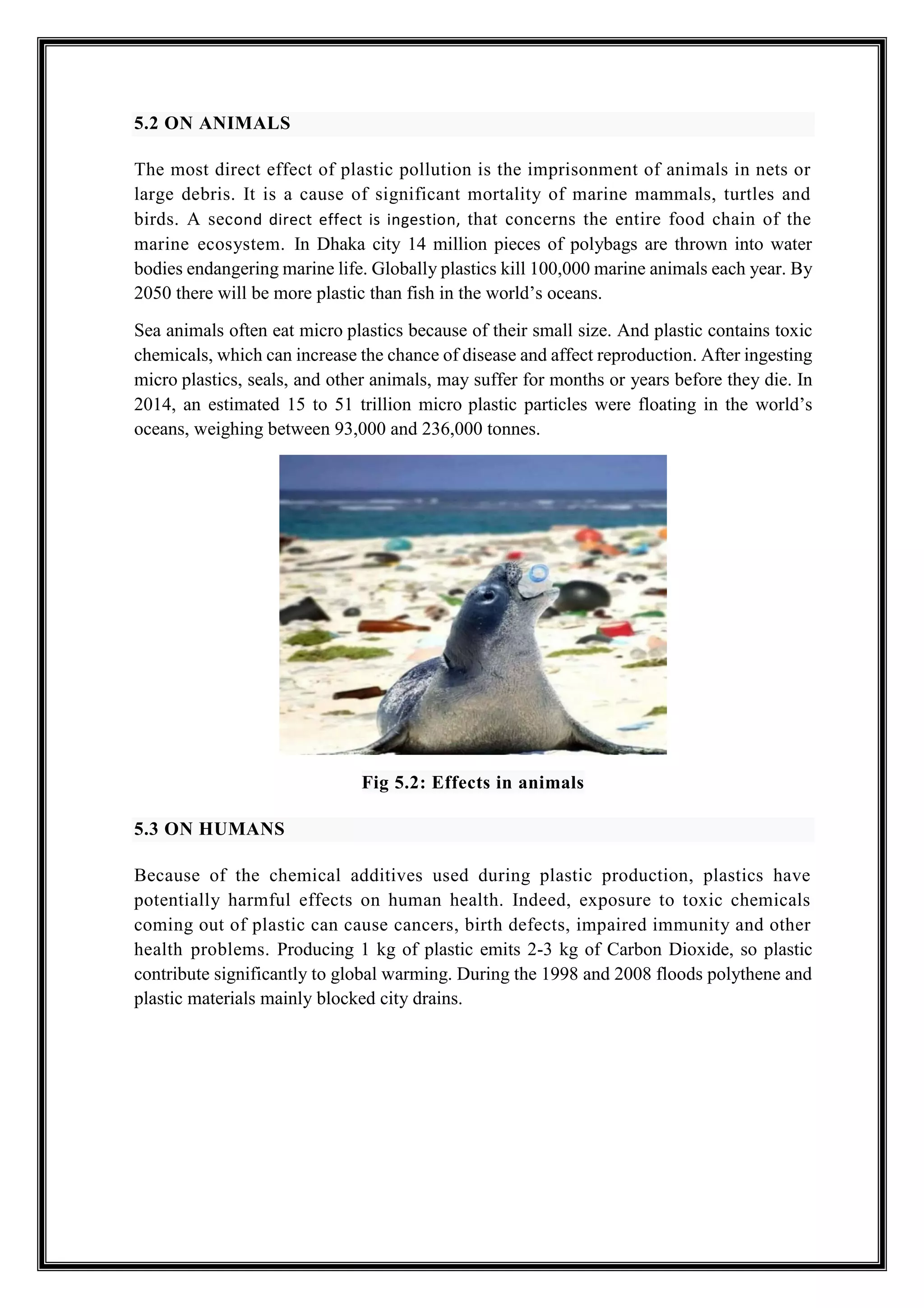 Plastic pollution | PDF