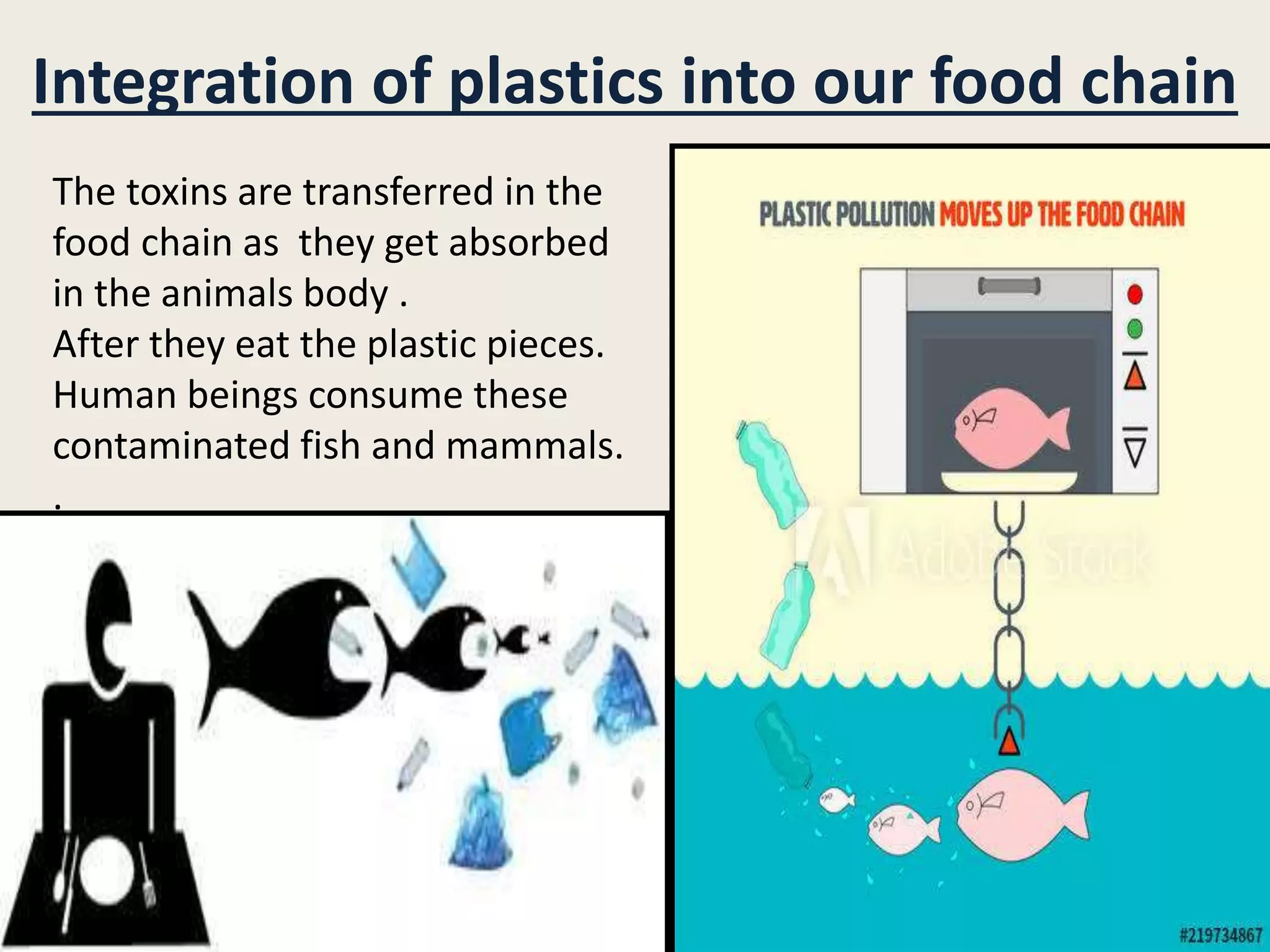 plastic pollution.pptx