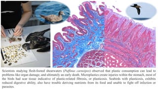 Plastic types, challenges, effects on animals and plants, and solutions ...