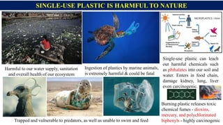 Plastic types, challenges, effects on animals and plants, and solutions ...