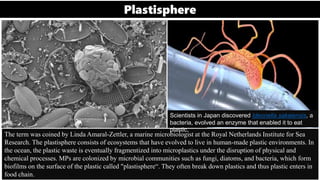 Plastic types, challenges, effects on animals and plants, and solutions ...