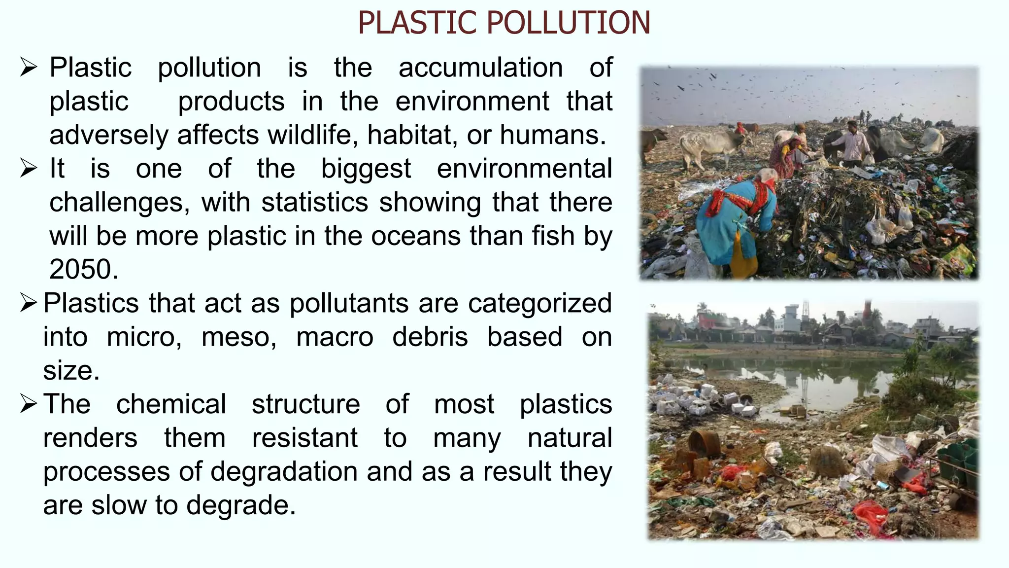 Plastic Pollution and impacts 2023.pptx