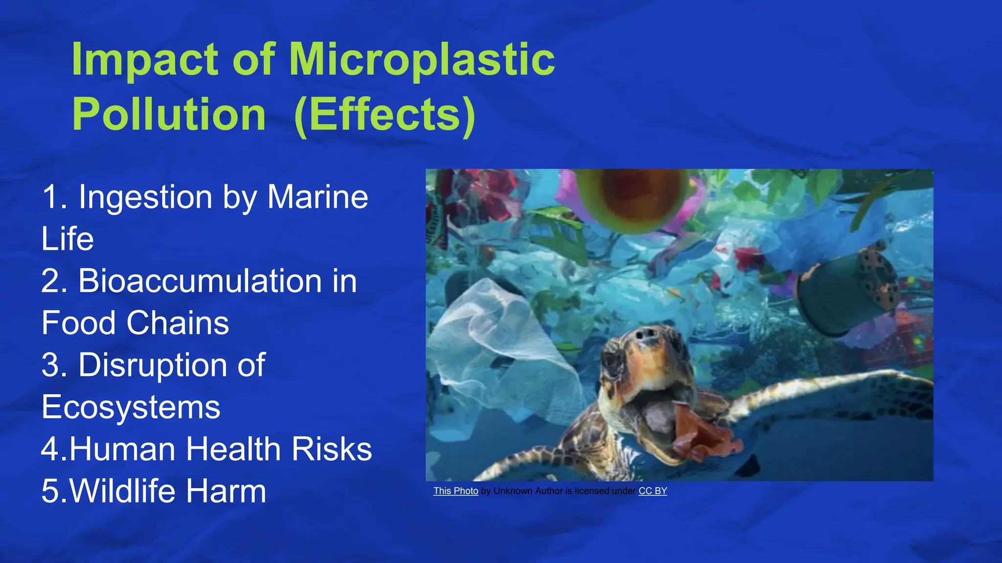 Plastic Pollution and Microplastic Pollution 123.pptx