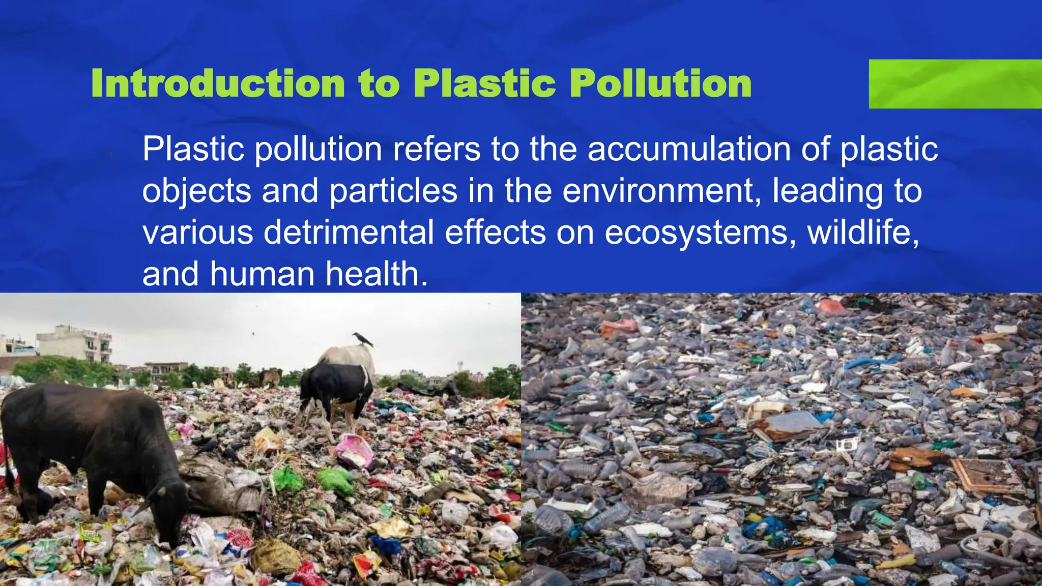 Plastic Pollution and Microplastic Pollution 123.pptx