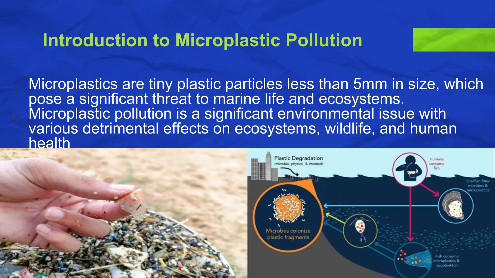 Plastic Pollution and Microplastic Pollution 123.pptx