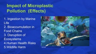 Plastic Pollution and Microplastic Pollution 123.pptx